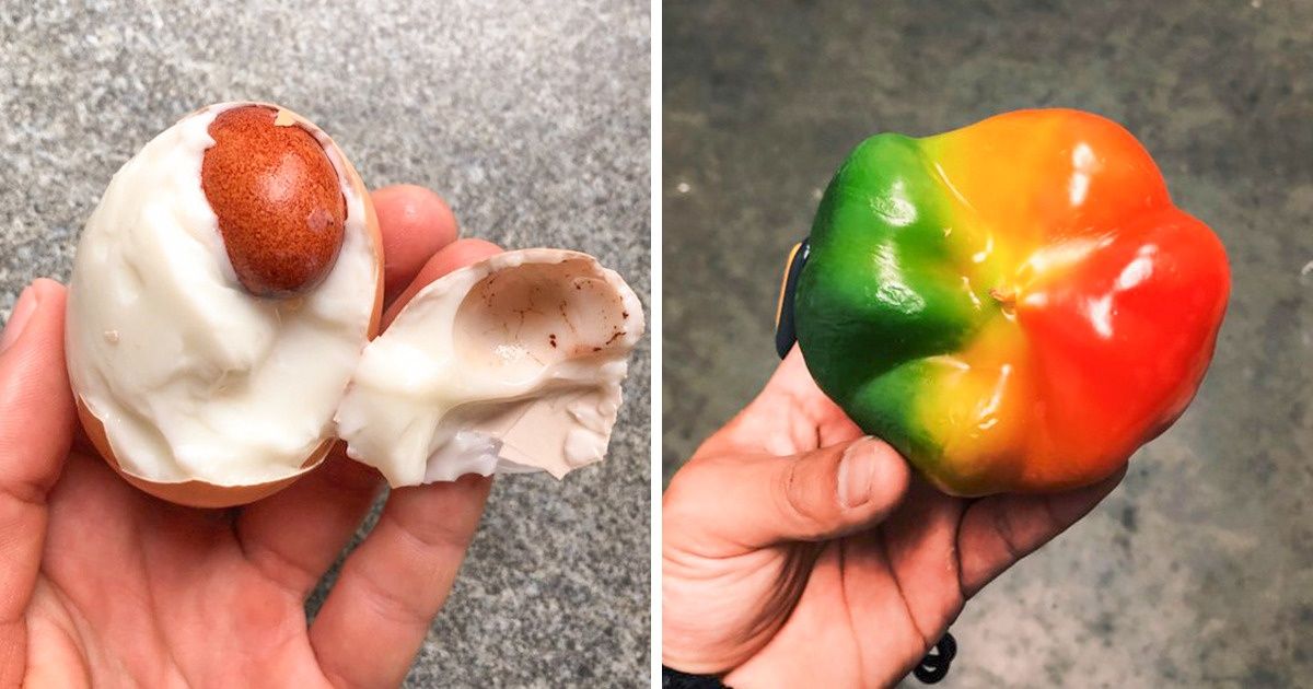 20 Times Ordinary Things Surprised Us When We Least Expected It 20-times-ordinary-things-surprised-us-when-we-least-expected-it