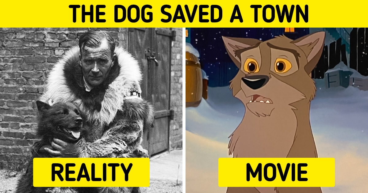 10 Animal Heroes Who Deserve a Special Place in Our Hearts / Bright Side