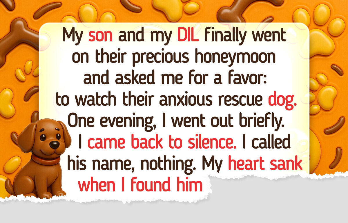 My Son and DIL Invited Me to Babysit Their Anxious Dog—I Wasn’t Ready ...