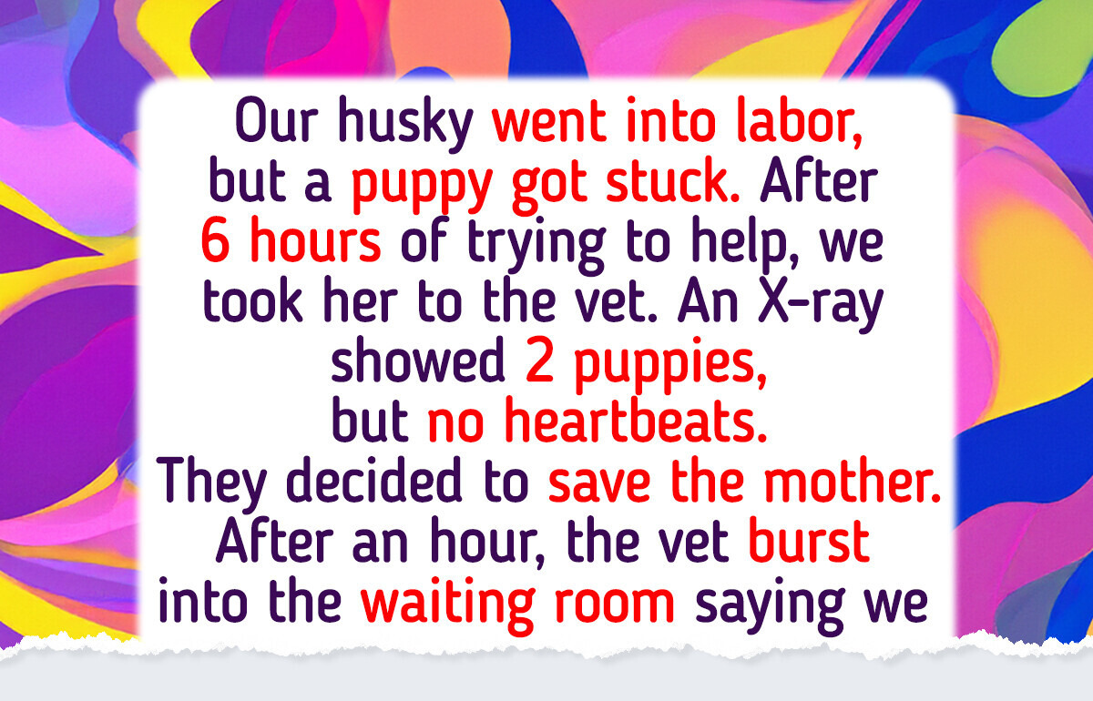 13 Vet Stories That Turn Into Something Unbelievable / Bright Side