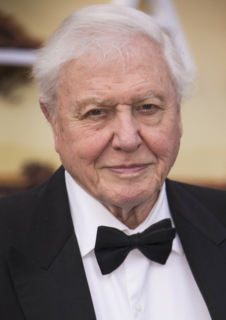 The 15 Most Universally Liked Stars, According to Ordinary People ...